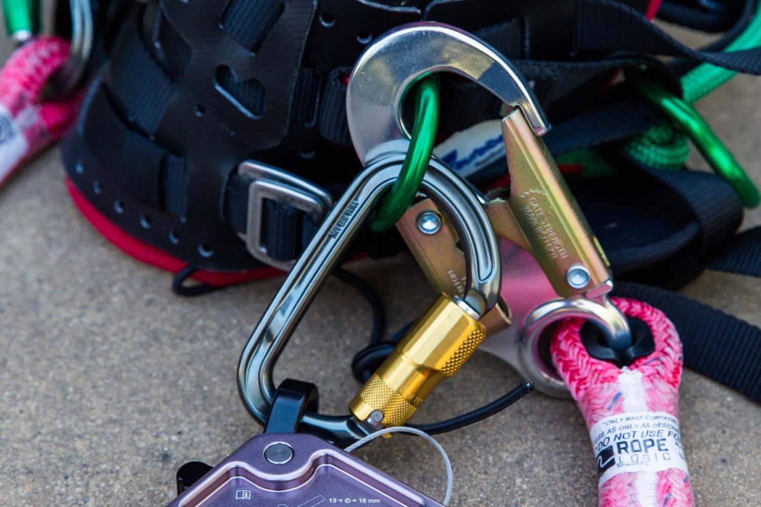 Women In Arboriculture – Western Chapter ISA Committee