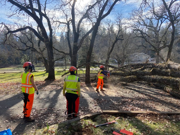 WIA – WCISA First Chainsaw Safety & Cutting Techniques Workshop Report ...